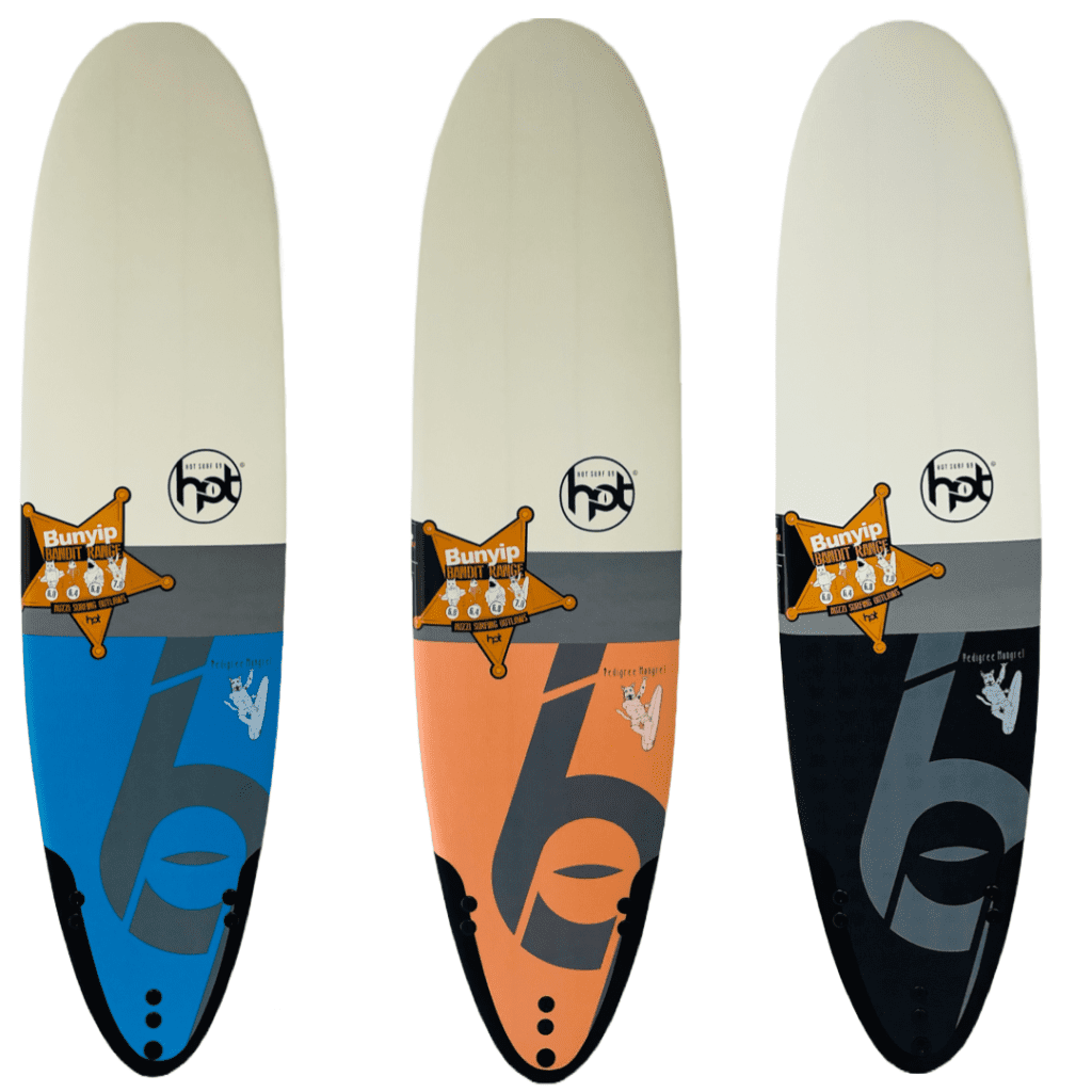 6ft Hot Surf 69 Softboard Fish Foam Learners Surfboard Kids Softboard ...